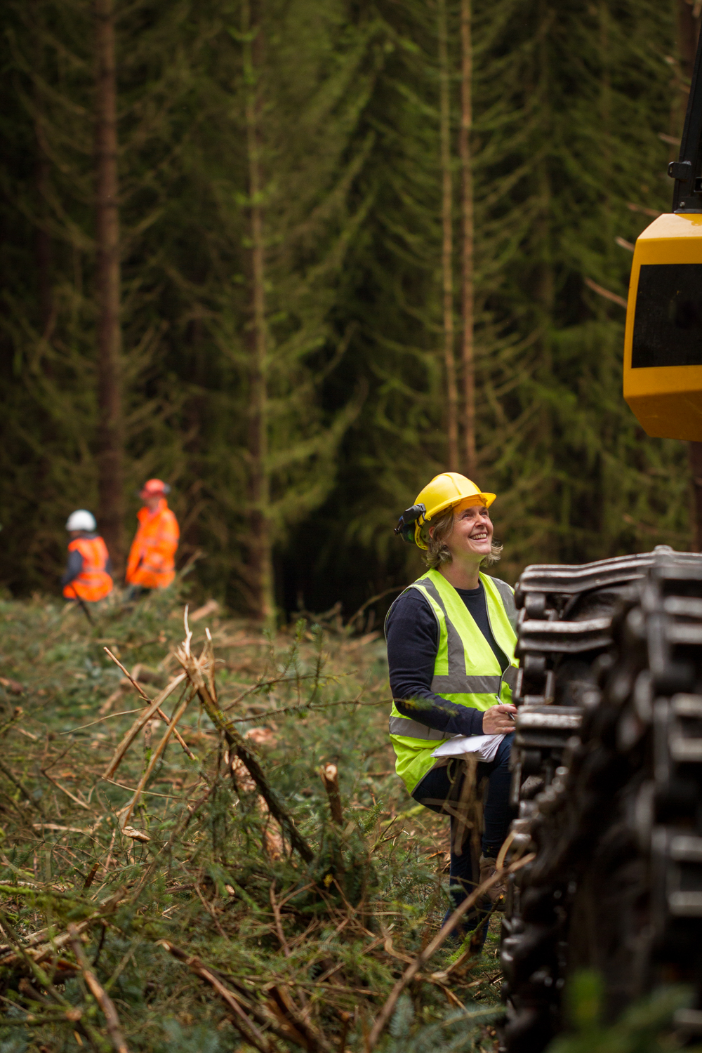 Forestry | FSC® and PEFC Certification