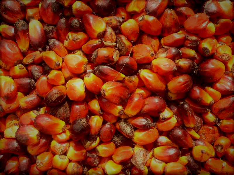 Certification updates | Soil Association certification