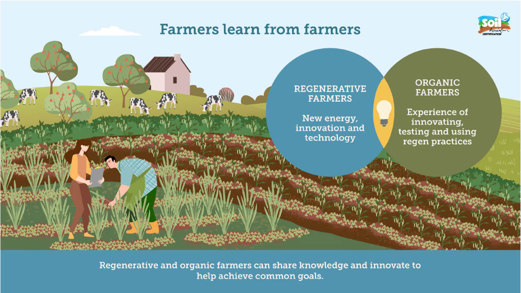 Organic and regenerative farming | Soil Association