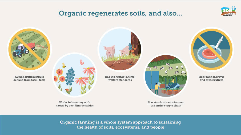 Organic and regenerative farming | Soil Association