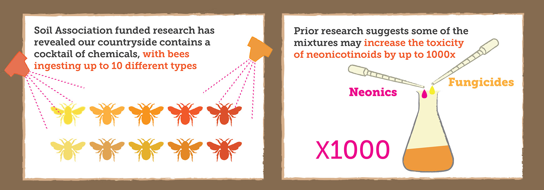 Neonicotinoids | Soil Association
